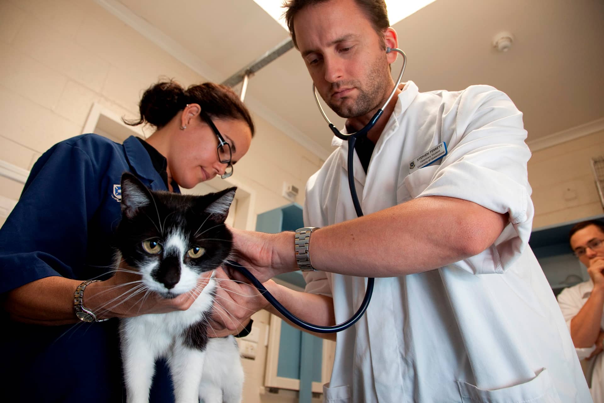 Caribbean Vet School Courses CollegeLearners Caribbean Vet School Courses CollegeLearners