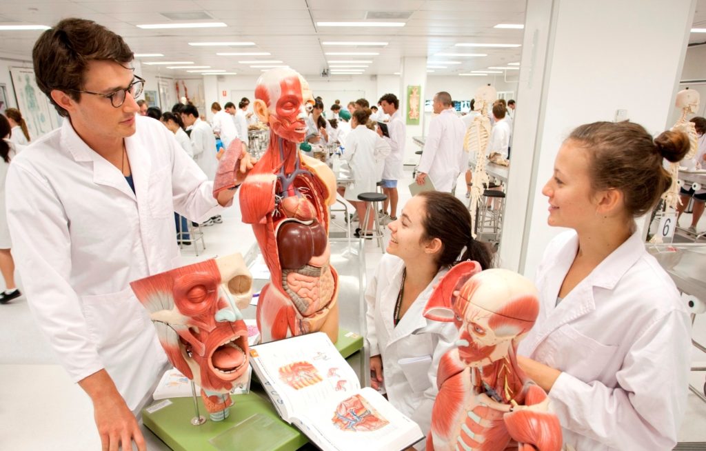 How to apply for a Griffith Medical School scholarship