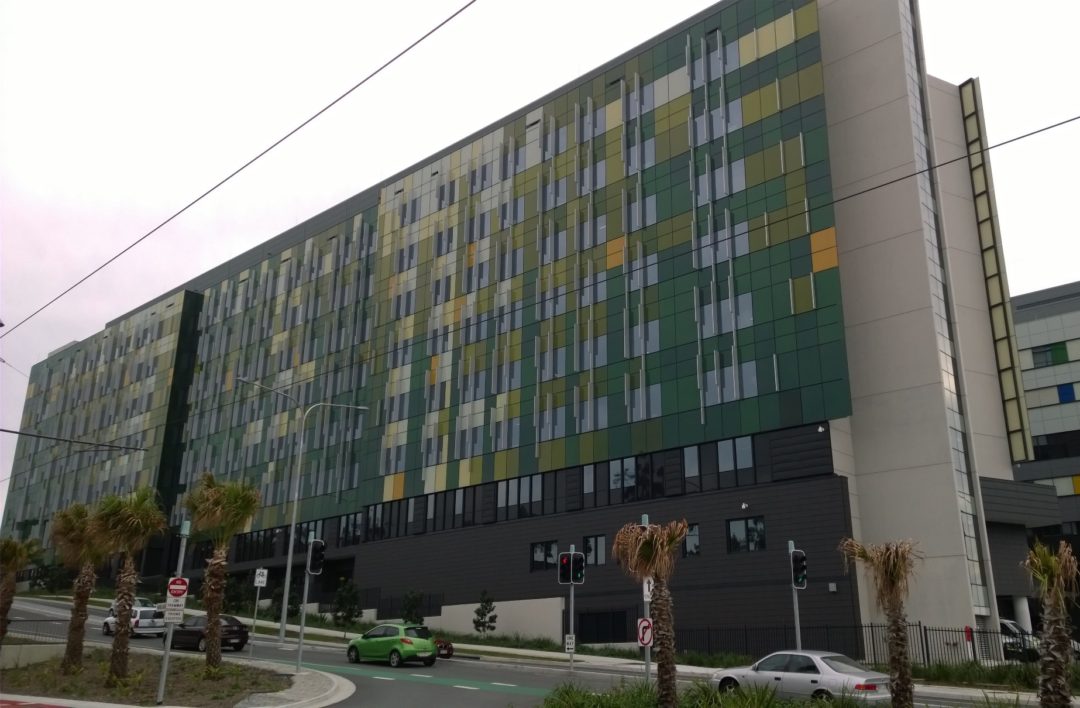 What does the first year of Griffith MD look like?